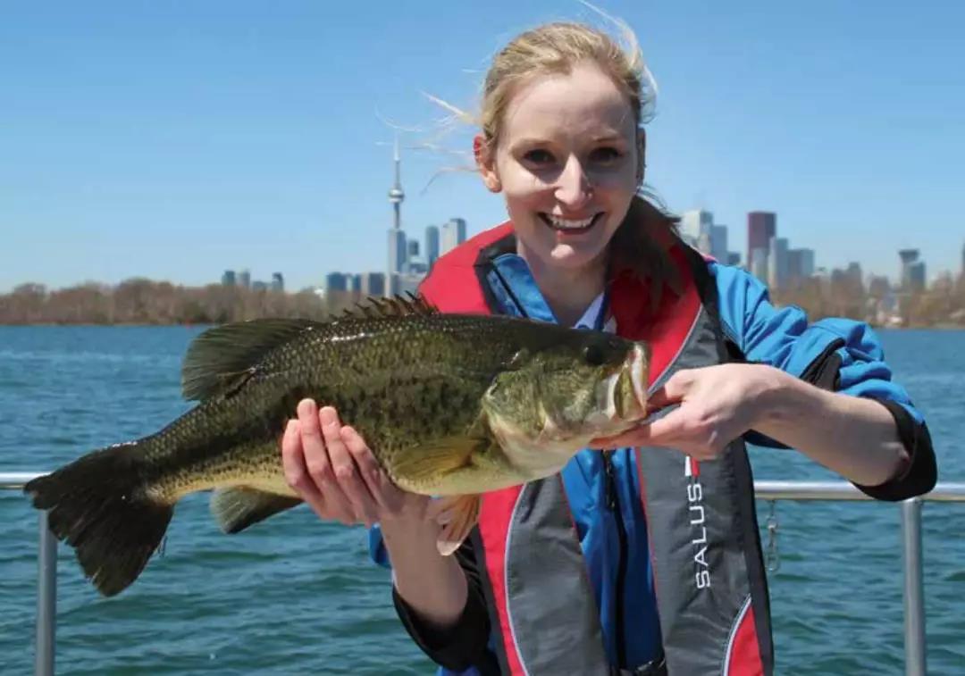 加拿大日報(香港)